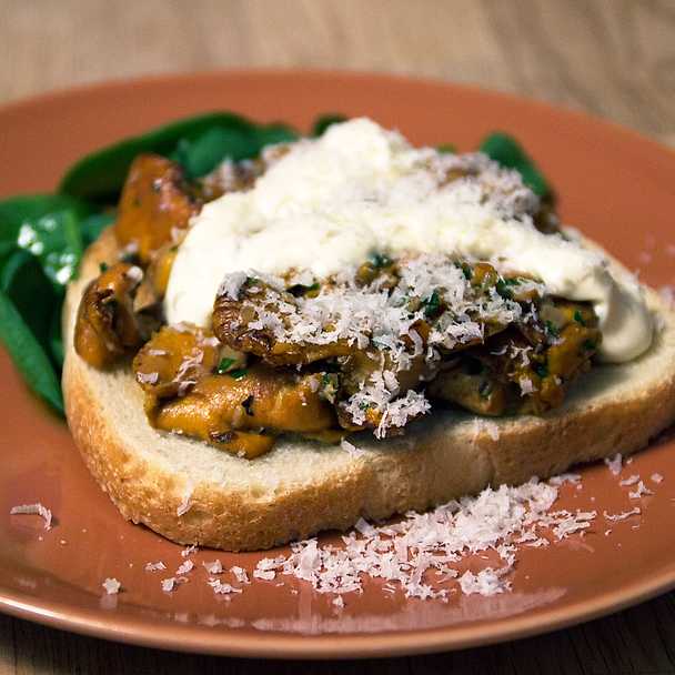 Kantareller | Köket.se