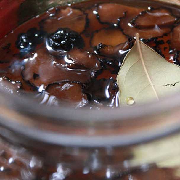 Lyxiga recept med tryffel | Köket.se