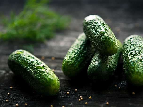Visste du detta om gurkor? | Köket.se