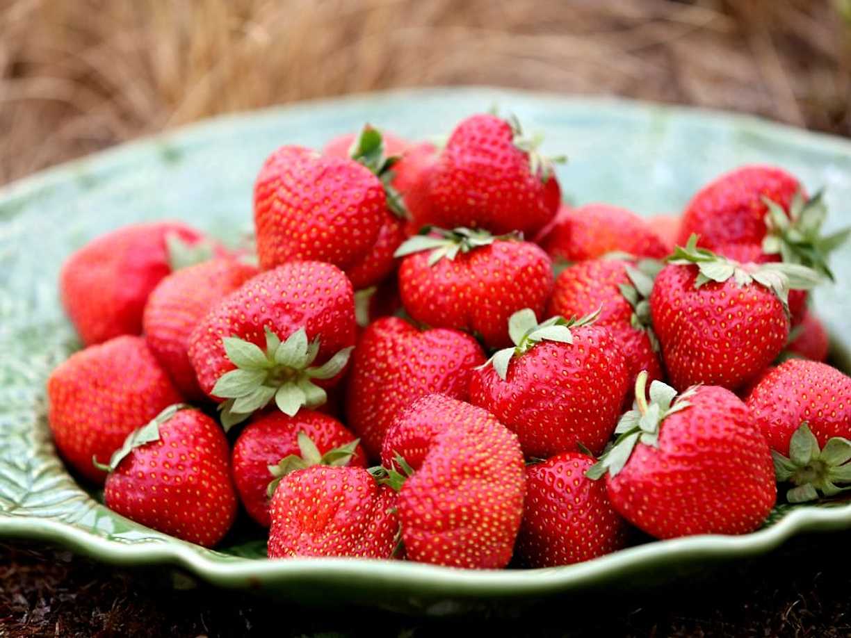 5 söta gubbar som smakar sommar | Köket.se