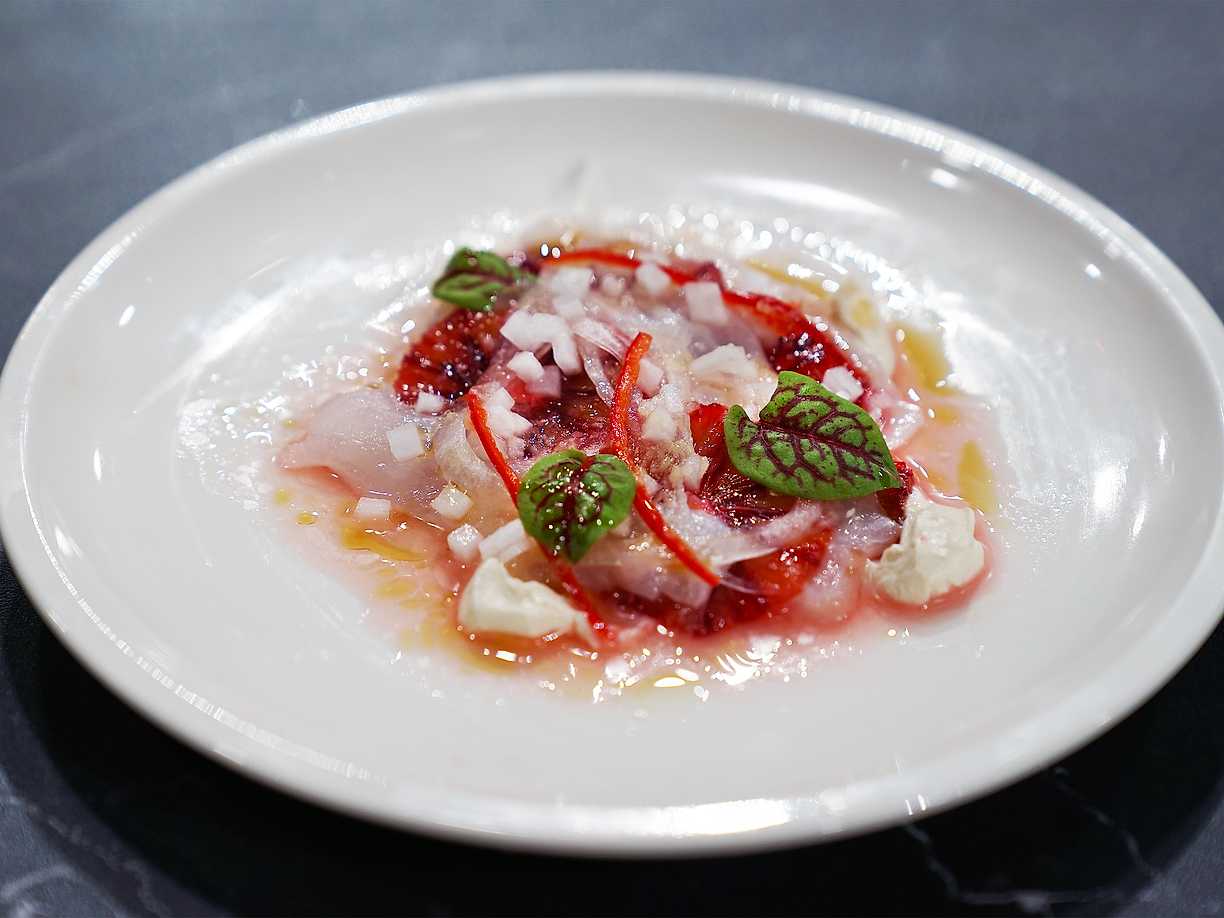 Crudo på marulk och blodapelsin | Köket.se