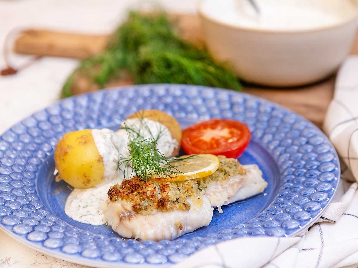 Fisk med frasigt täcke och kall dillsås | Köket.se