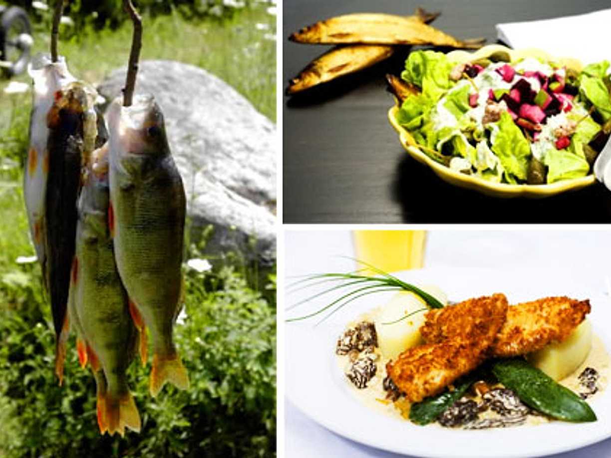 Fixa fina fisken | Köket.se