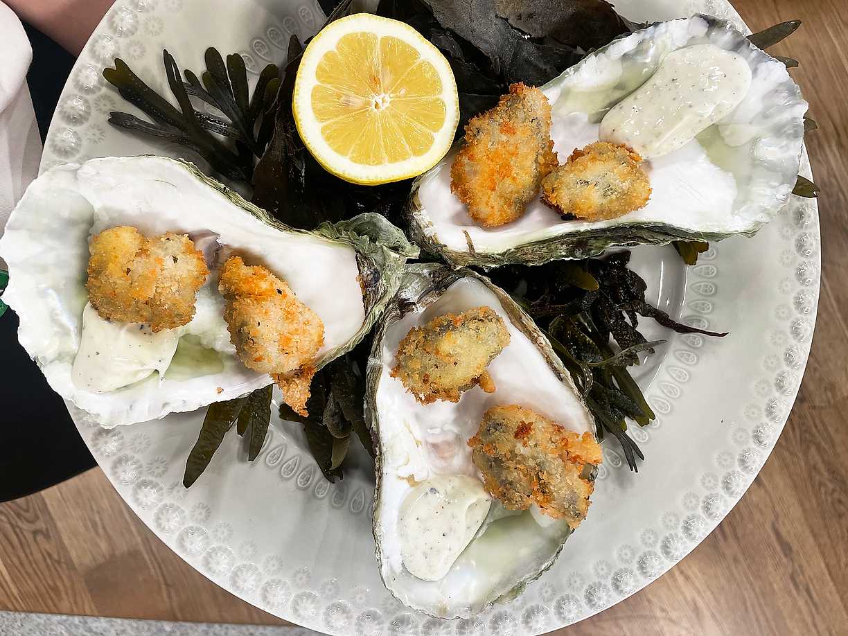 Friterade gigas ostron med citronmajonnäs | Köket.se
