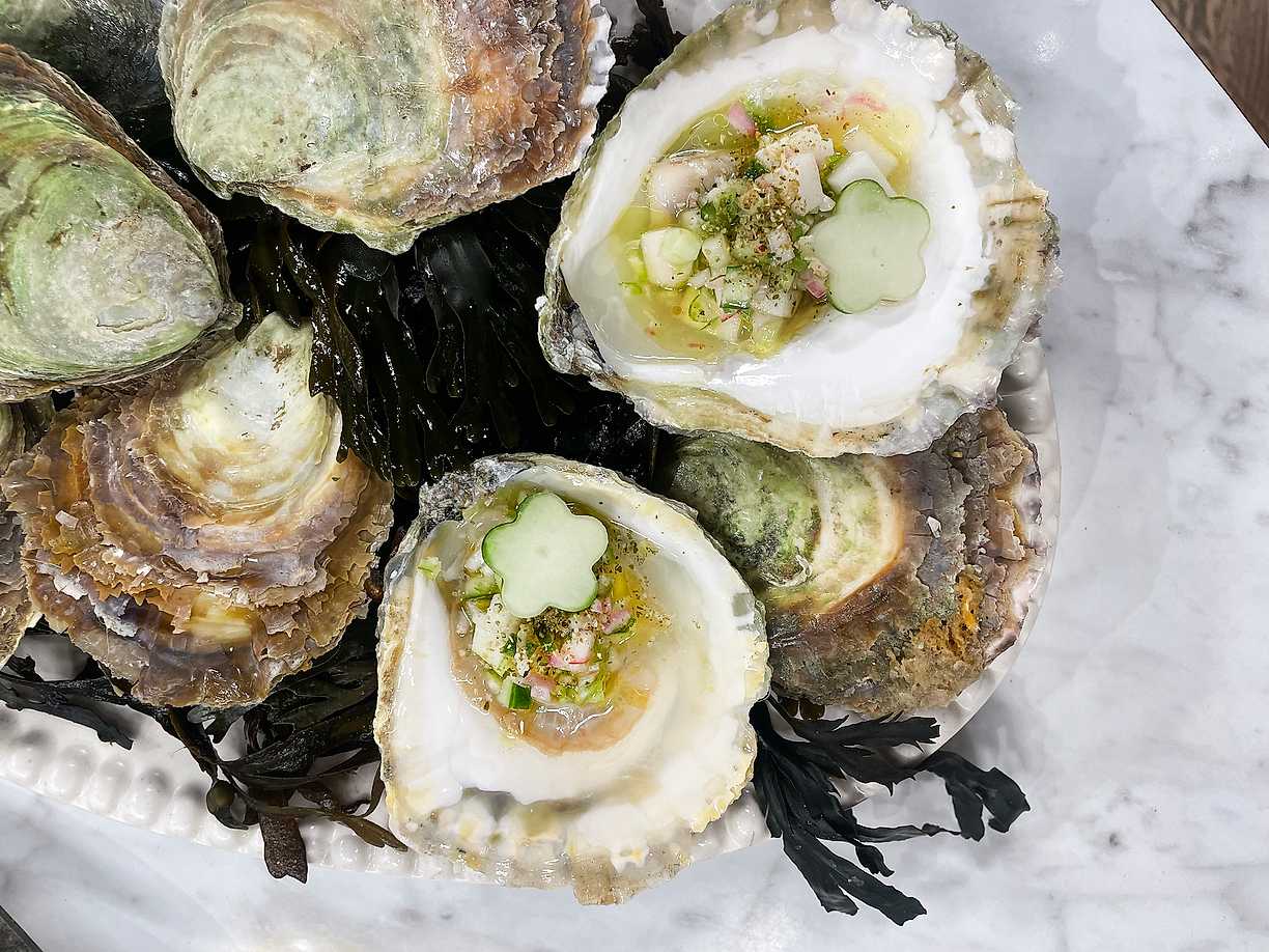 Edulis ostron med sansho vinägrett | Köket.se