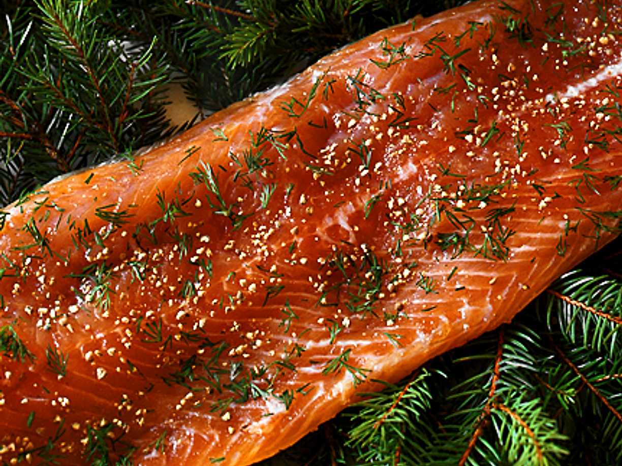 Granrisgravad lax | Köket.se