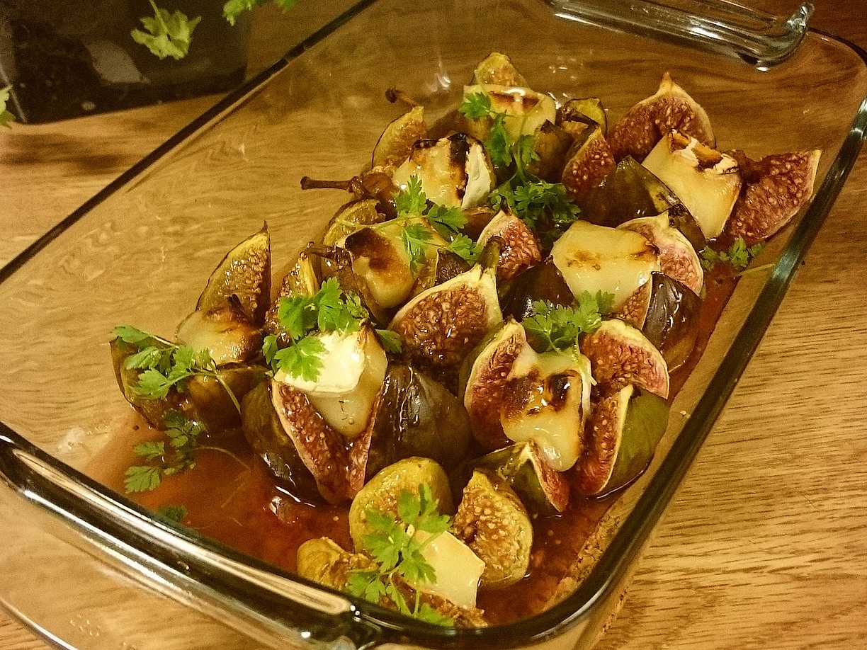 Gratinerade fikon med getost och honung | Köket.se