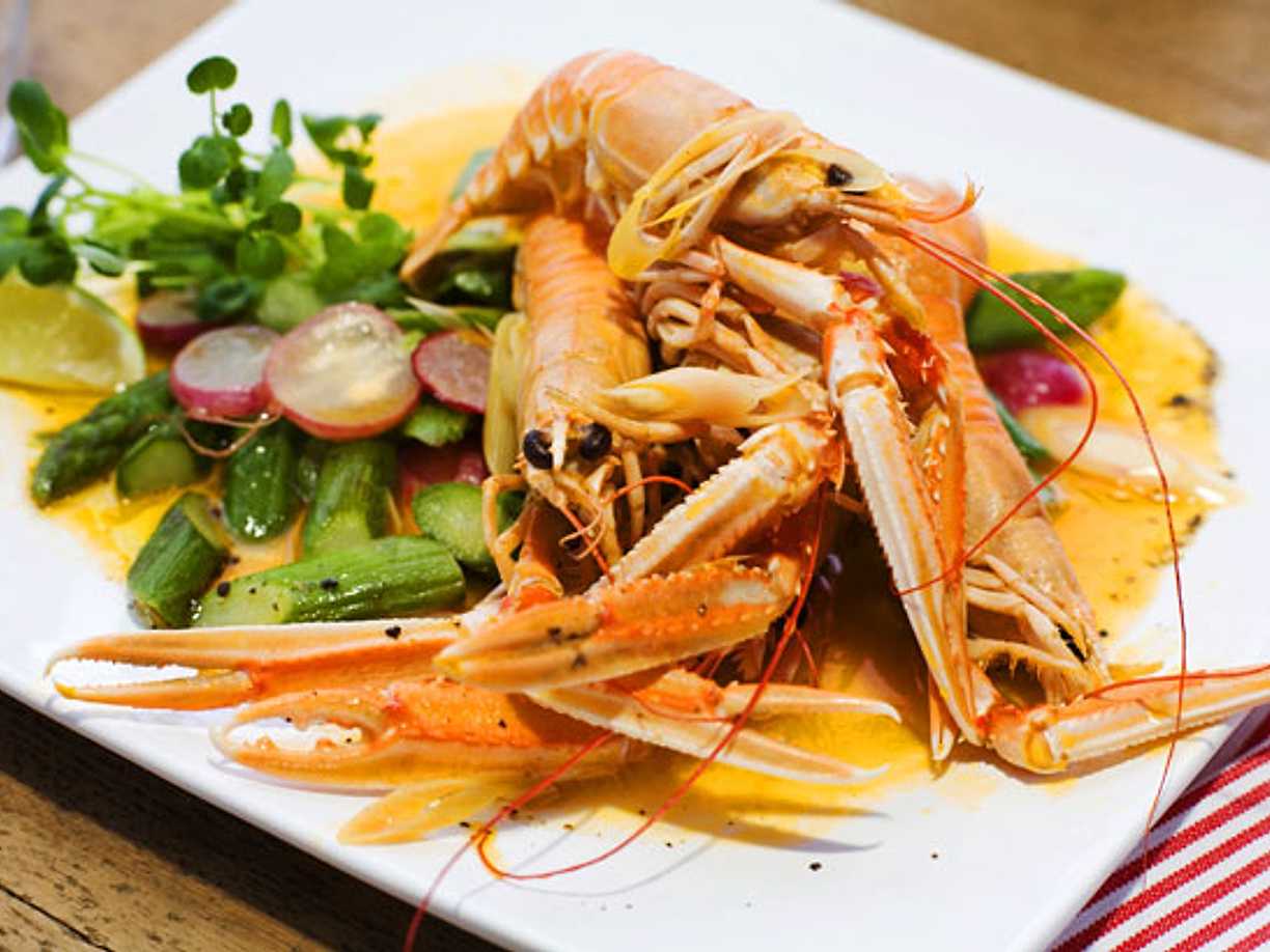 Havskräftor med sallad på sparris, rädisor och krasse | Köket.se