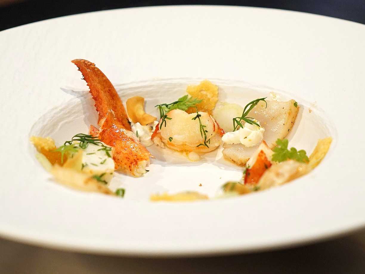 Hummersoppa med dillkräm och pilgrimsmussla | Köket.se