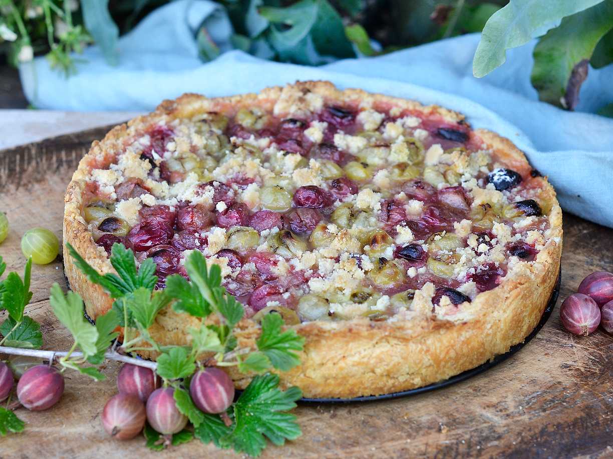 Krusbärspaj med vispgrädde | Köket.se