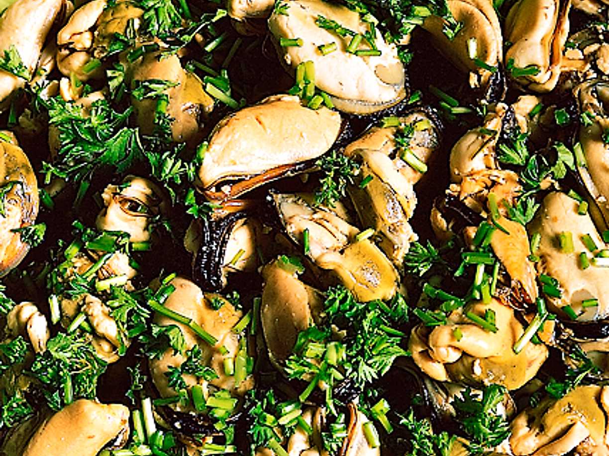 Marinerade musslor | Köket.se