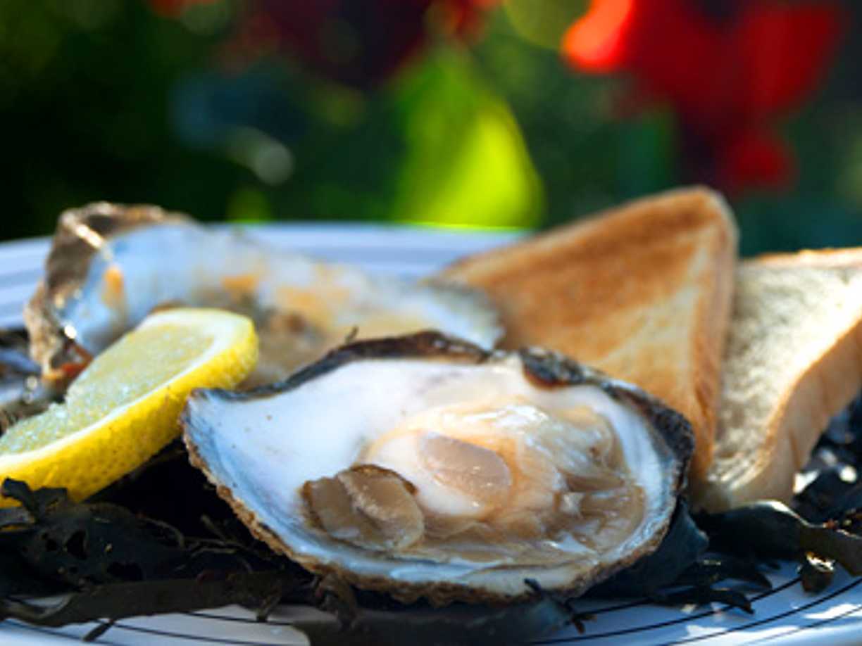 Ostron naturell och gratinerade | Köket.se