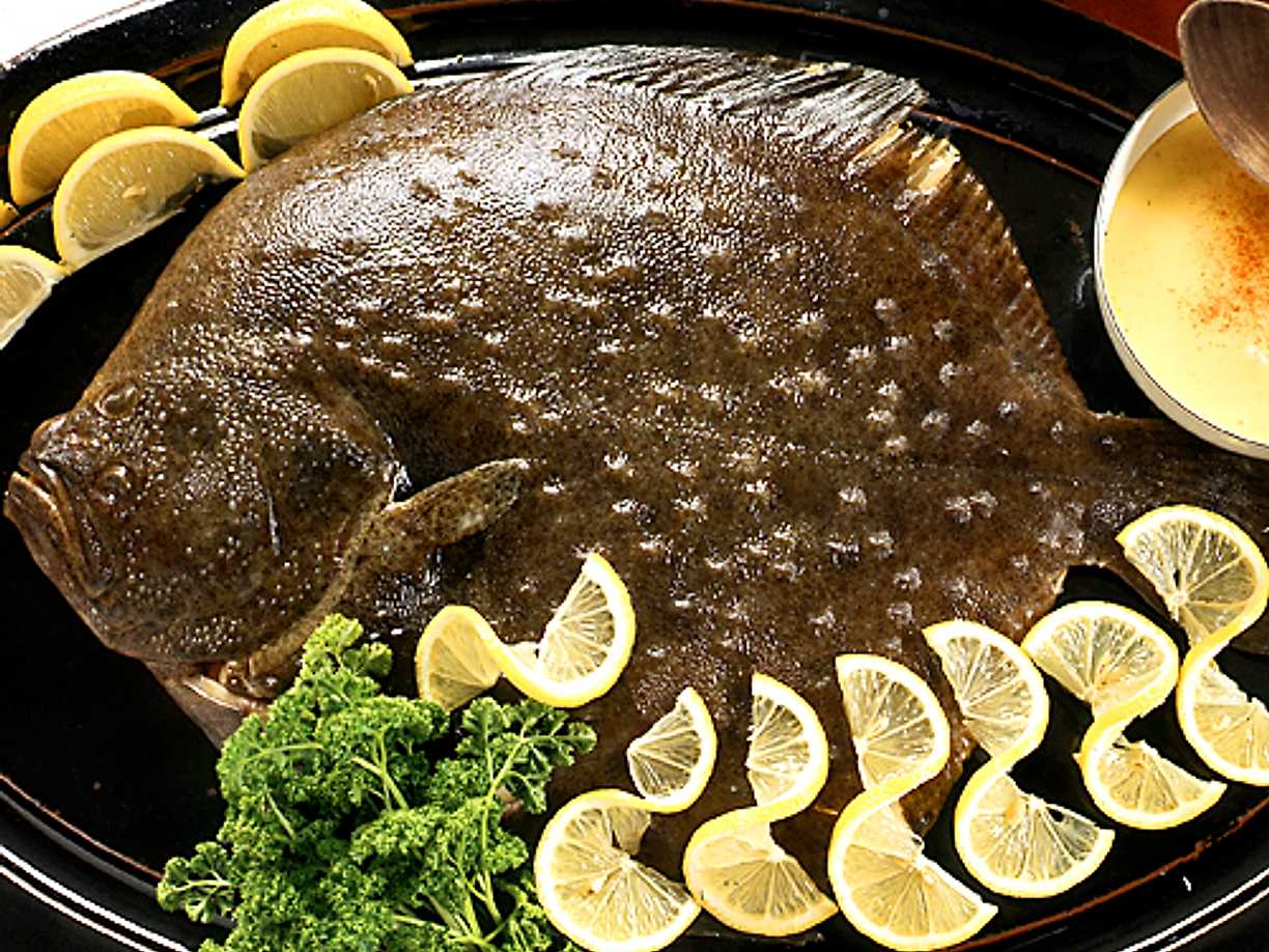 Piggvar med hollandaise | Köket.se