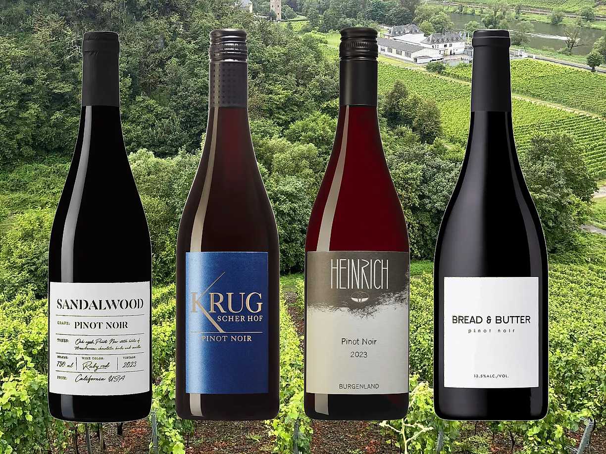 Pinot noir - redaktionens favoriter | Köket.se