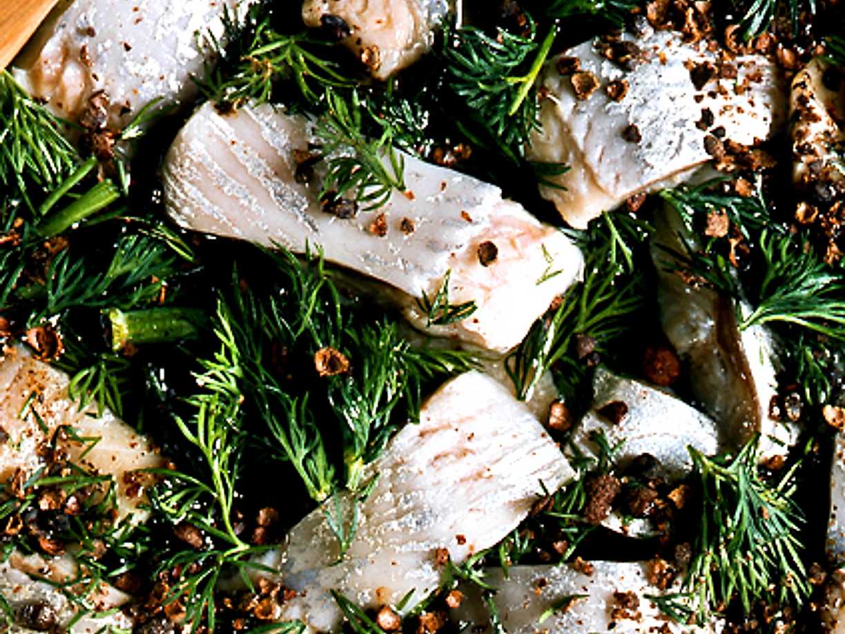 Sill i dill | Köket.se