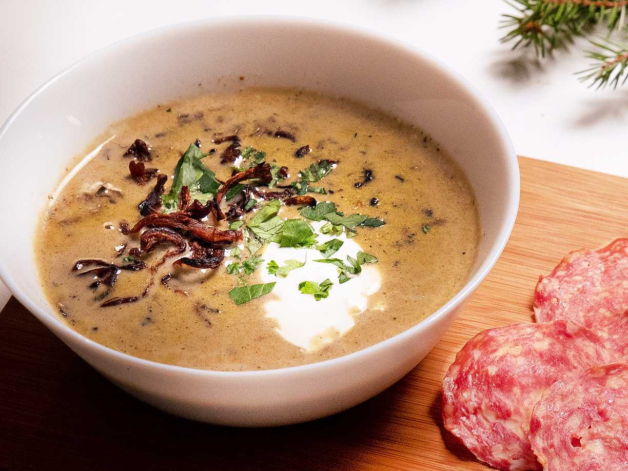 Soppa på skogens guld | Köket.se