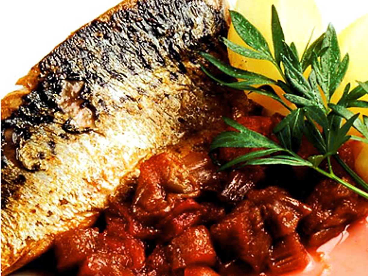 Stekt makrill med rabarberkompott | Köket.se